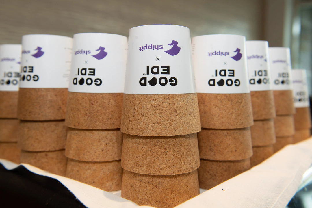 Eco-Friendly Coffee Cups Wholesale – Good Edi